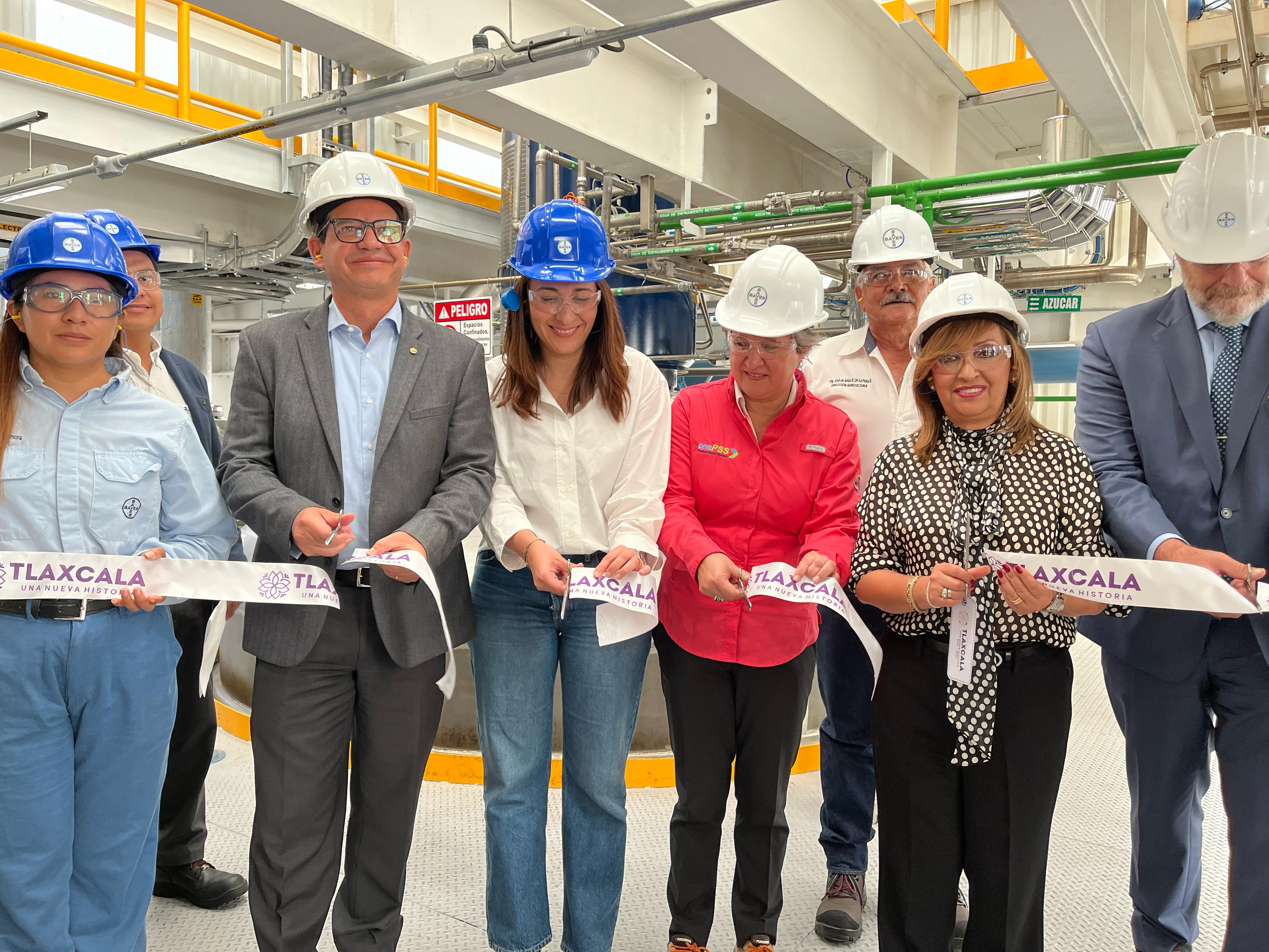 domingo, 15 de octubre de 2023