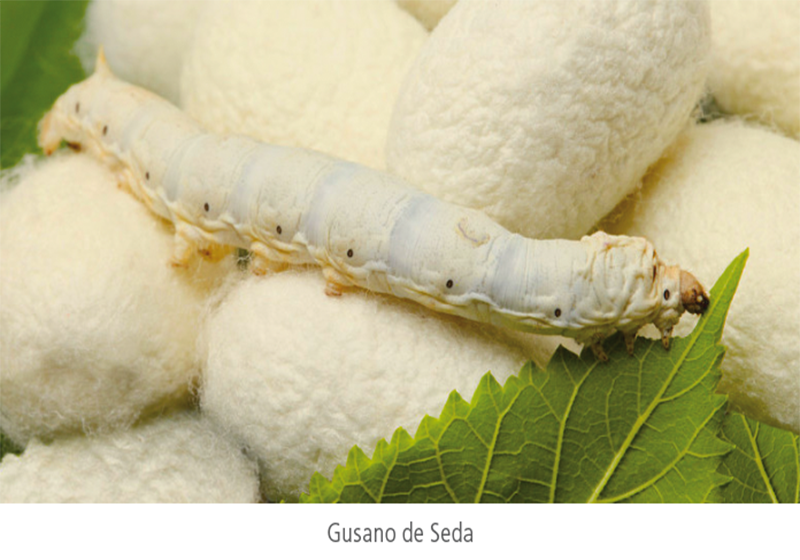 Riesgos y beneficios